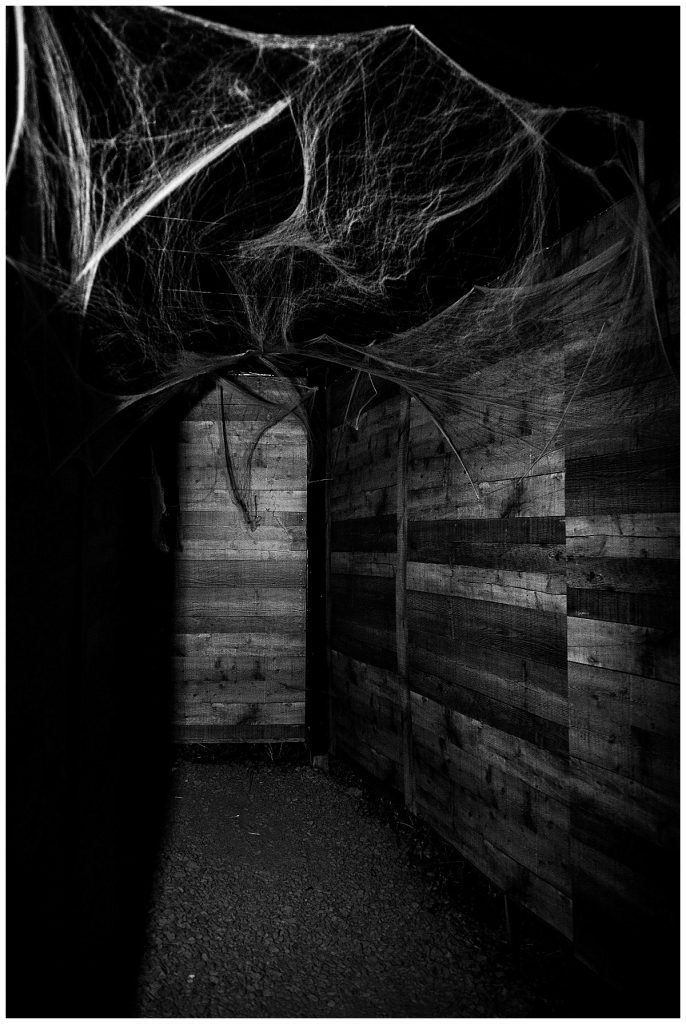 Fields of Fear - Seana Shuchart Photography
