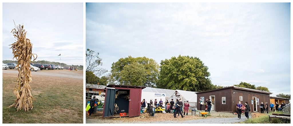 Fields of Fear - Seana Shuchart Photography